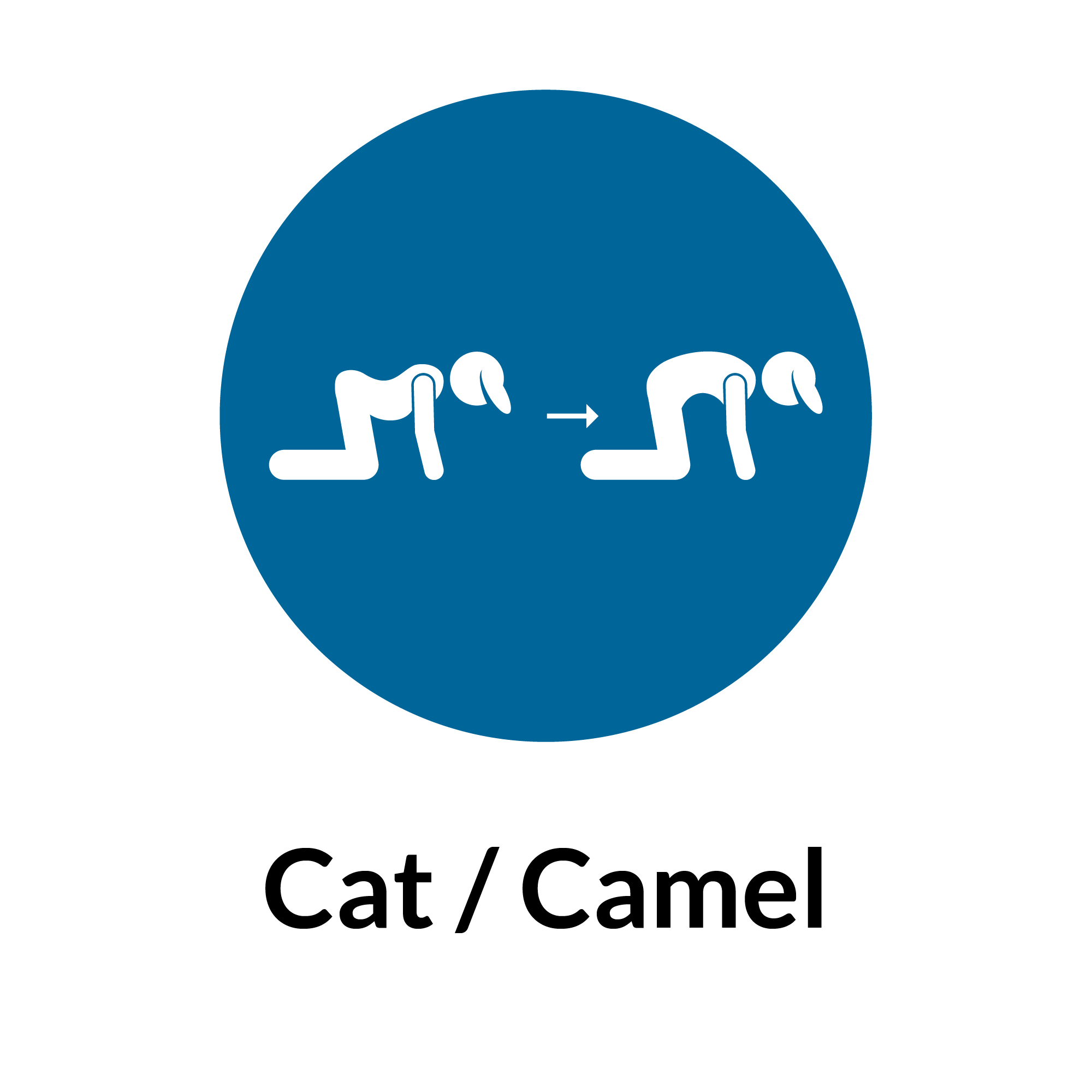 Cat/Camel - Rapid Access Clinics For Low Back Pain