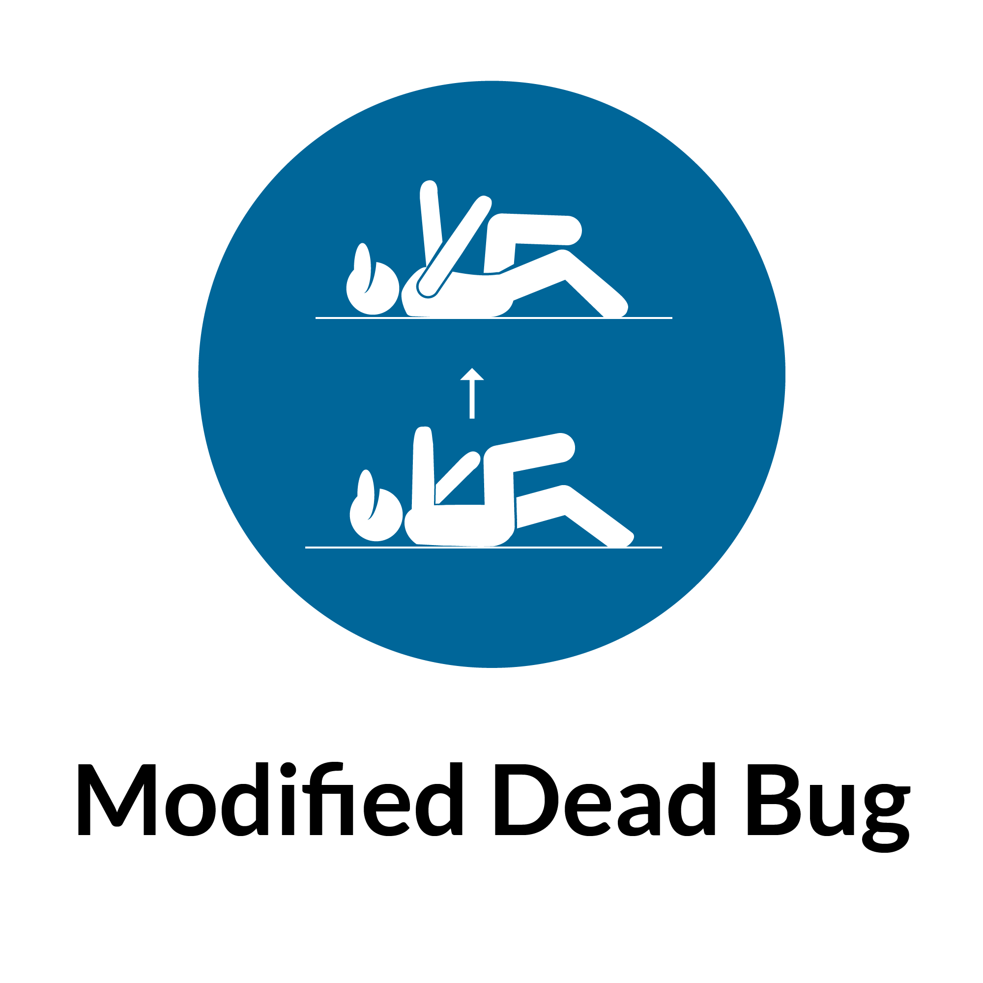 Modified Dead Bug - Rapid Access Clinics For Low Back Pain